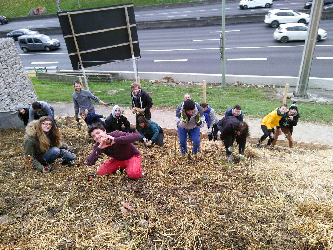 Boomforest – Planting mini-forests for life